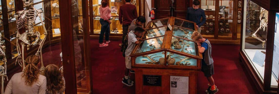 Mutter Museum, America's most famous museum of medical oddities